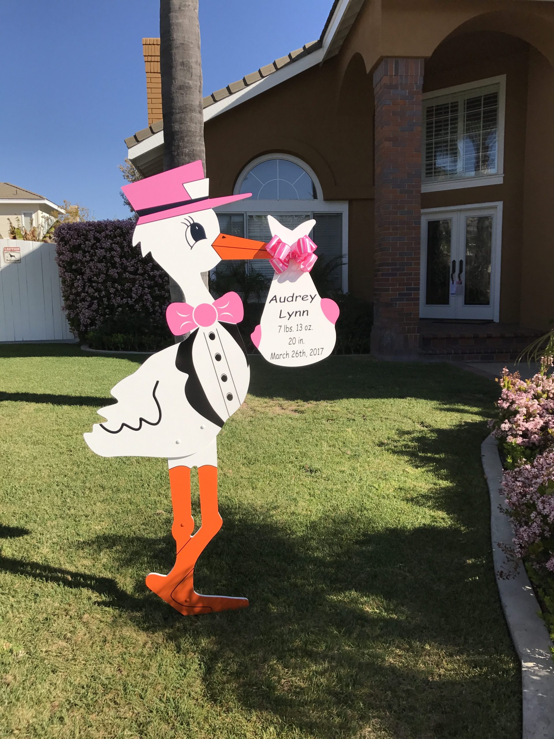Girl Stork Delivery – Villa Park, CA – Orange County Storks