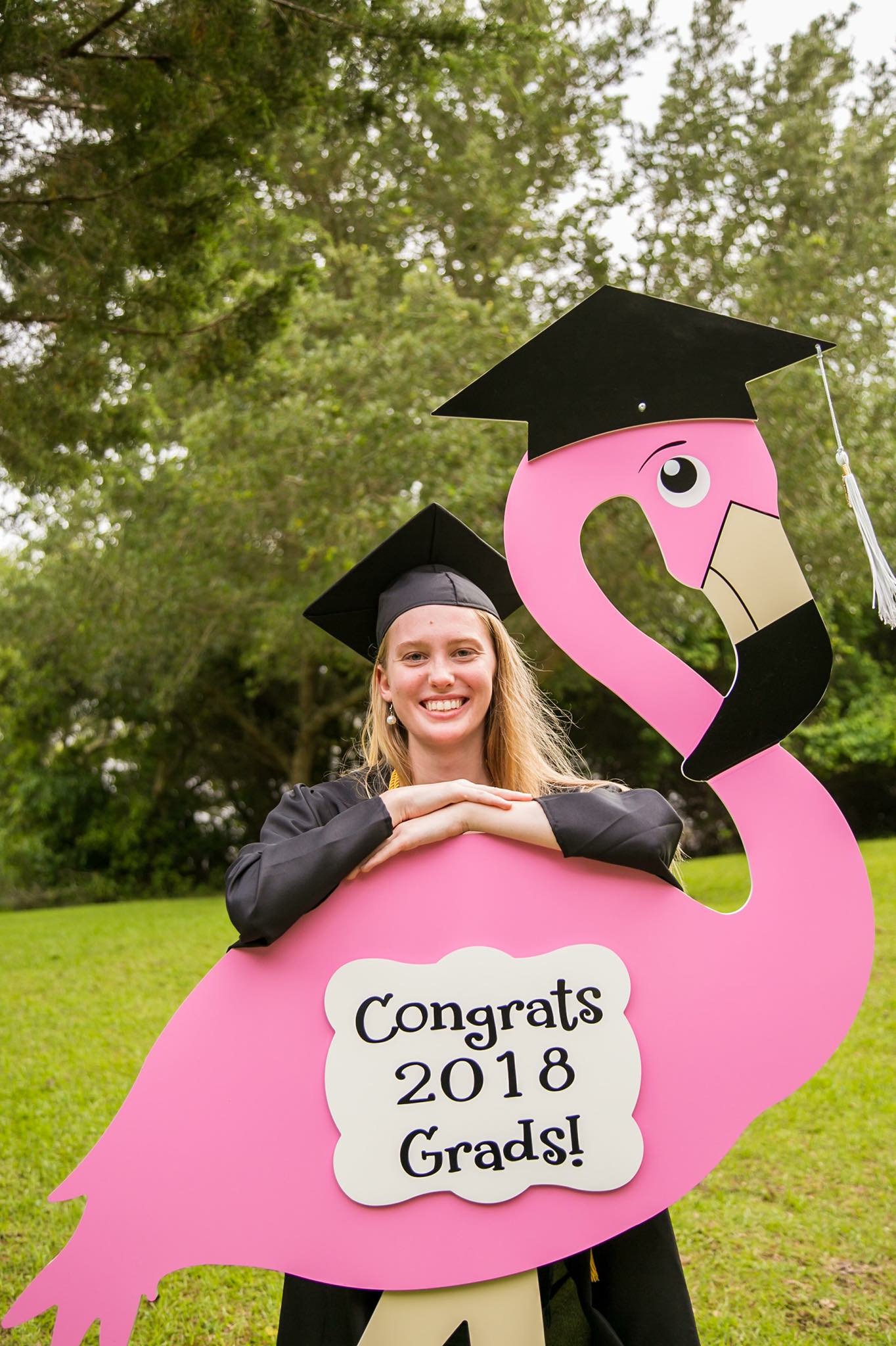 Giant Flamingo Graduation Sign-Long Beach CA – Orange County Storks