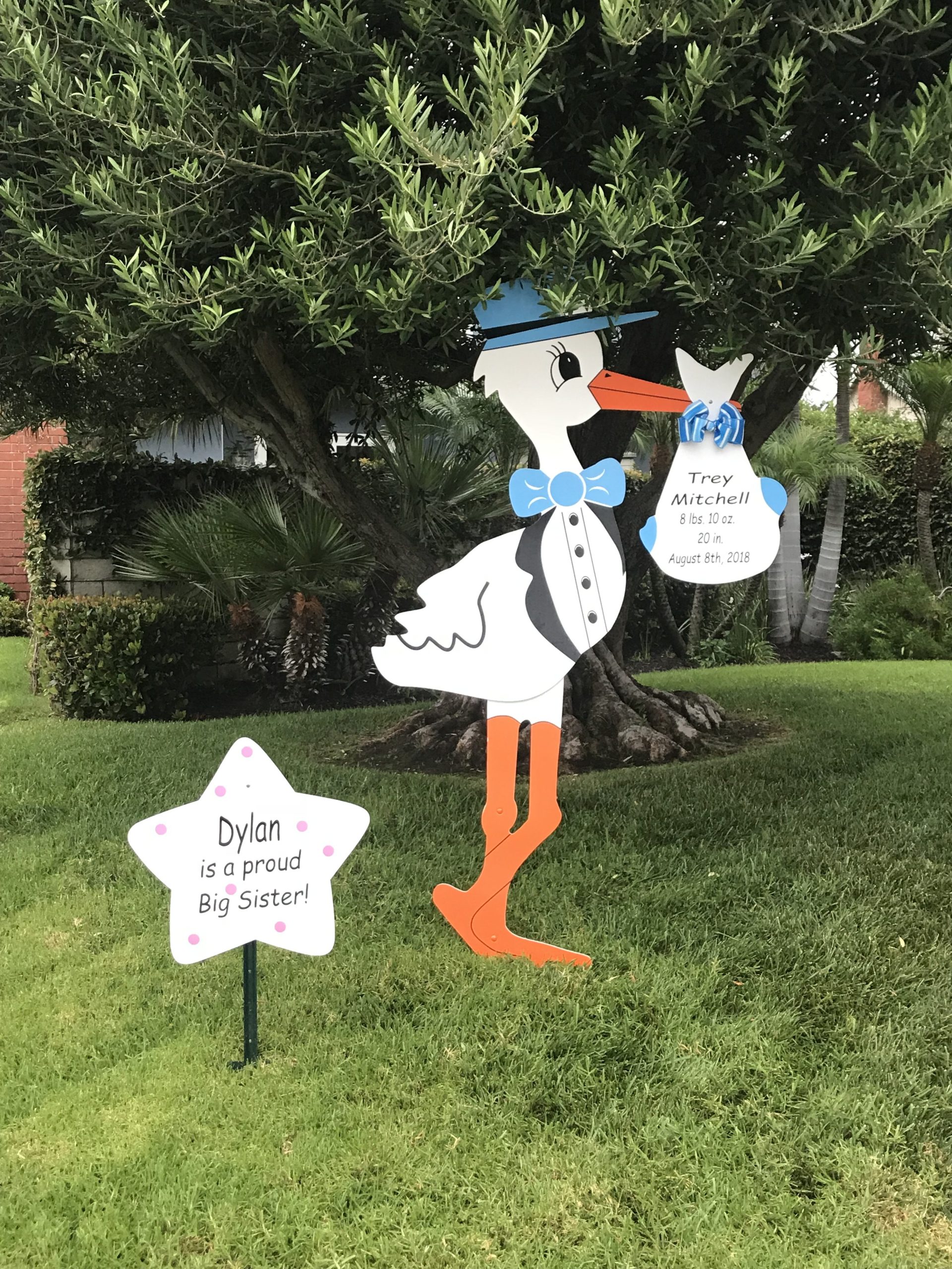stork baby signs – Dana Point, CA – Orange County Storks